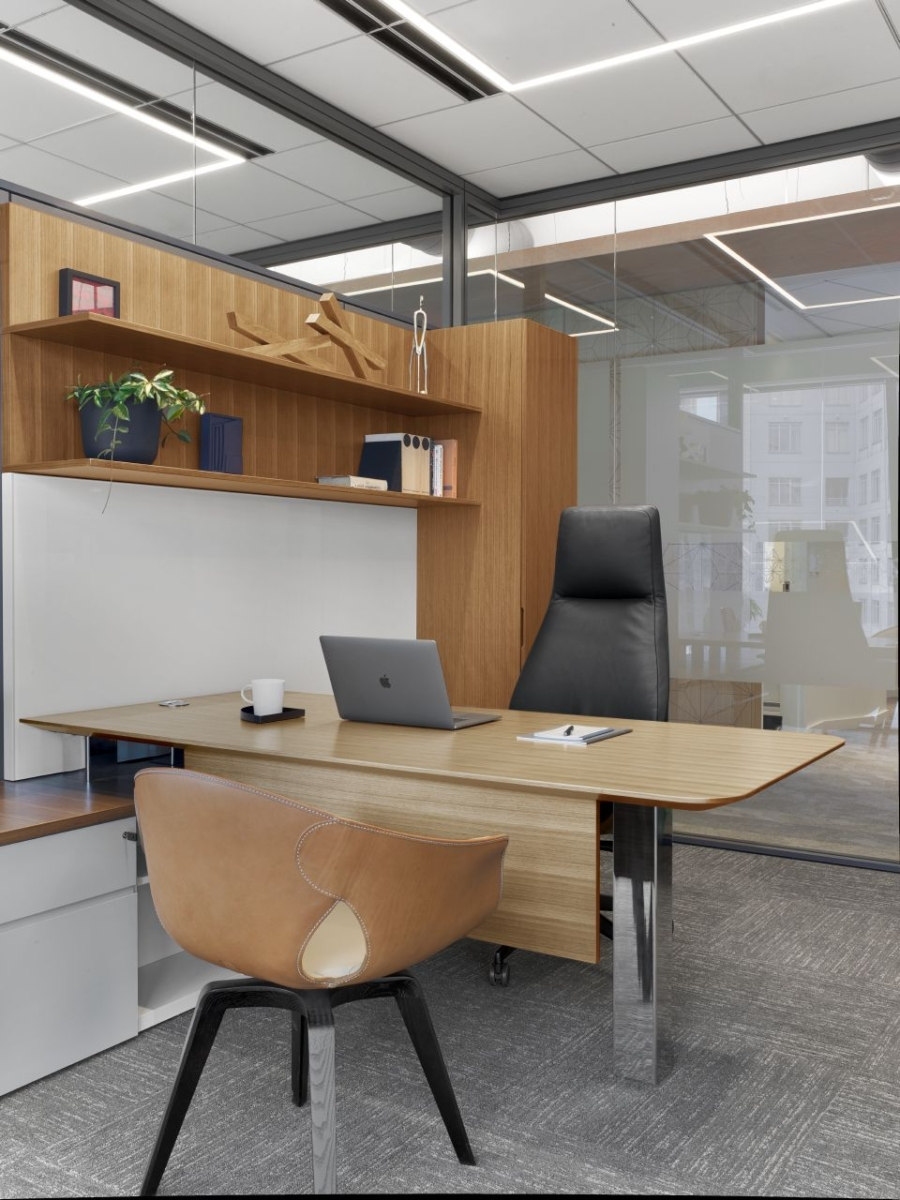 Ginger - Education Snapshots