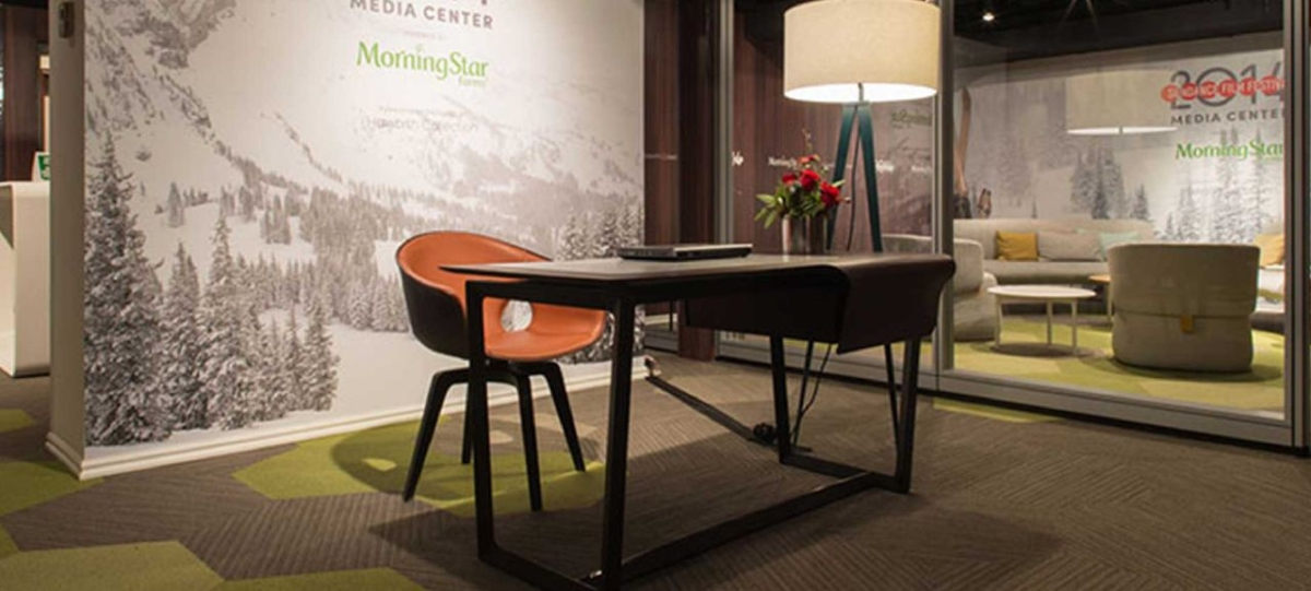 Ginger - Education Snapshots