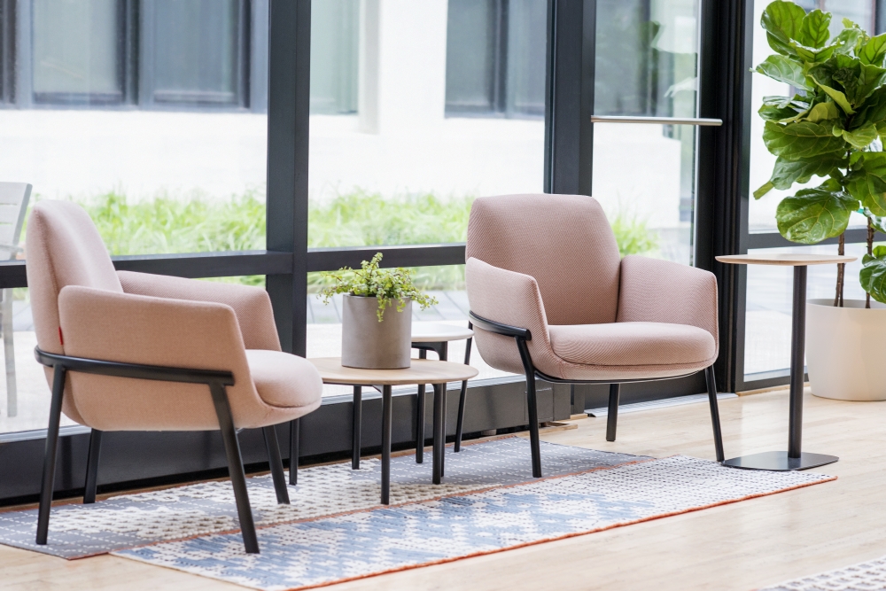 Poppy Lounge - Education Snapshots