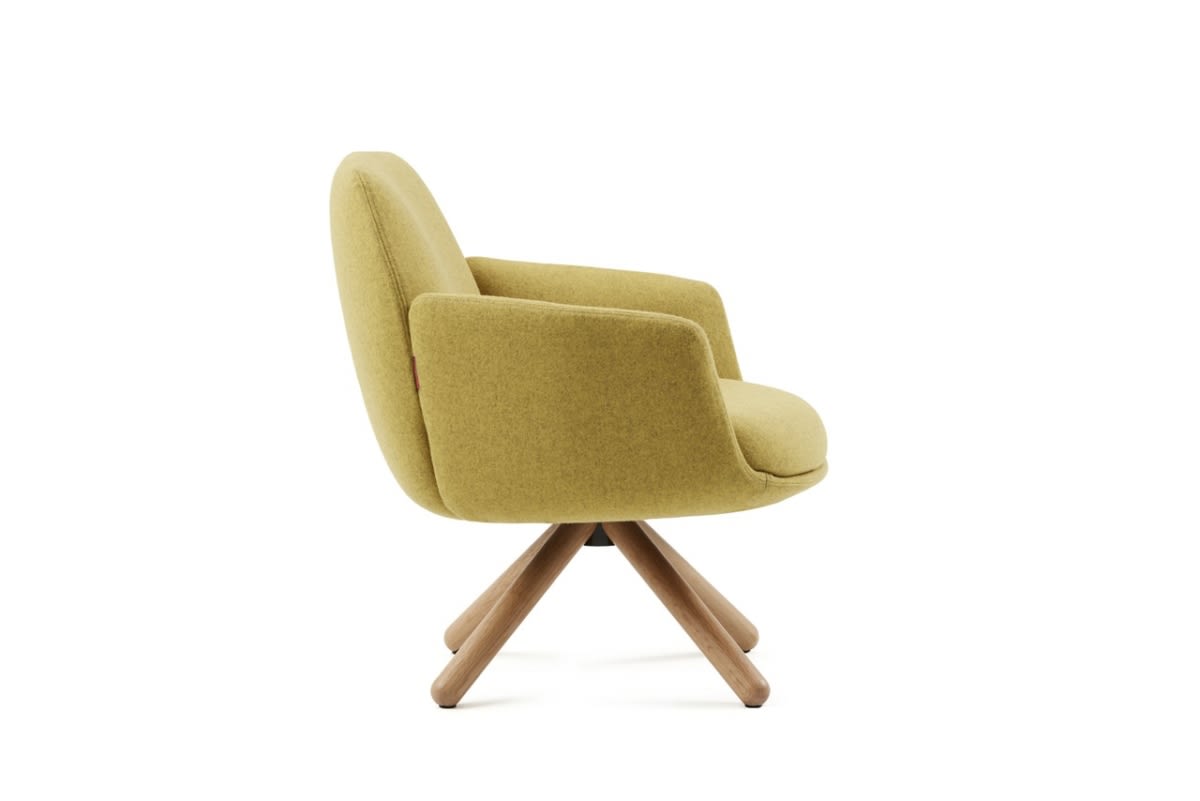 Poppy Lounge - Education Snapshots