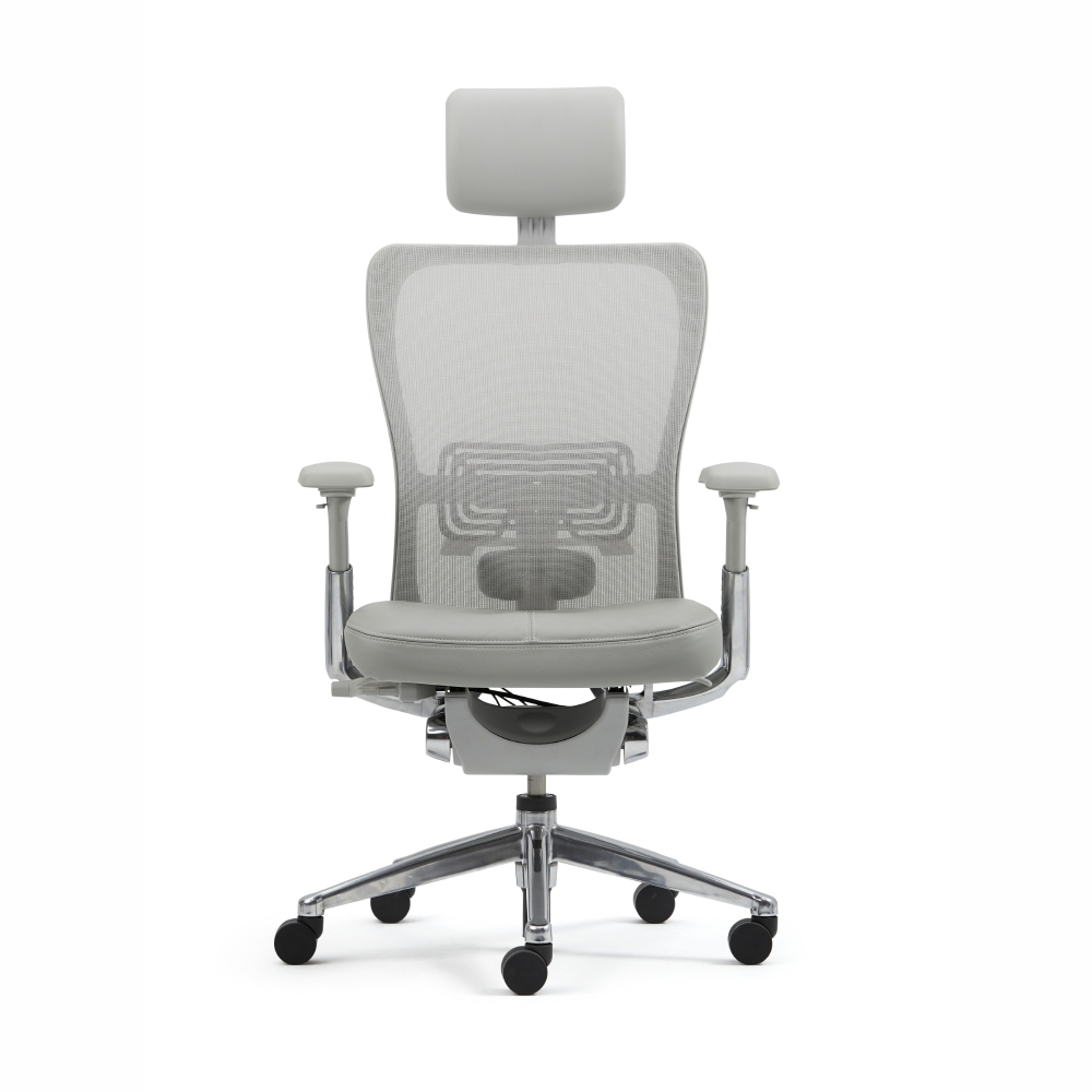 Zody Executive - Education Snapshots