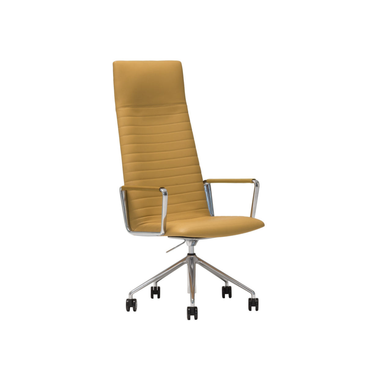 Flex Executive - Education Snapshots