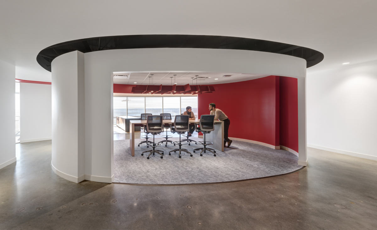 BuzziGrid - Education Snapshots