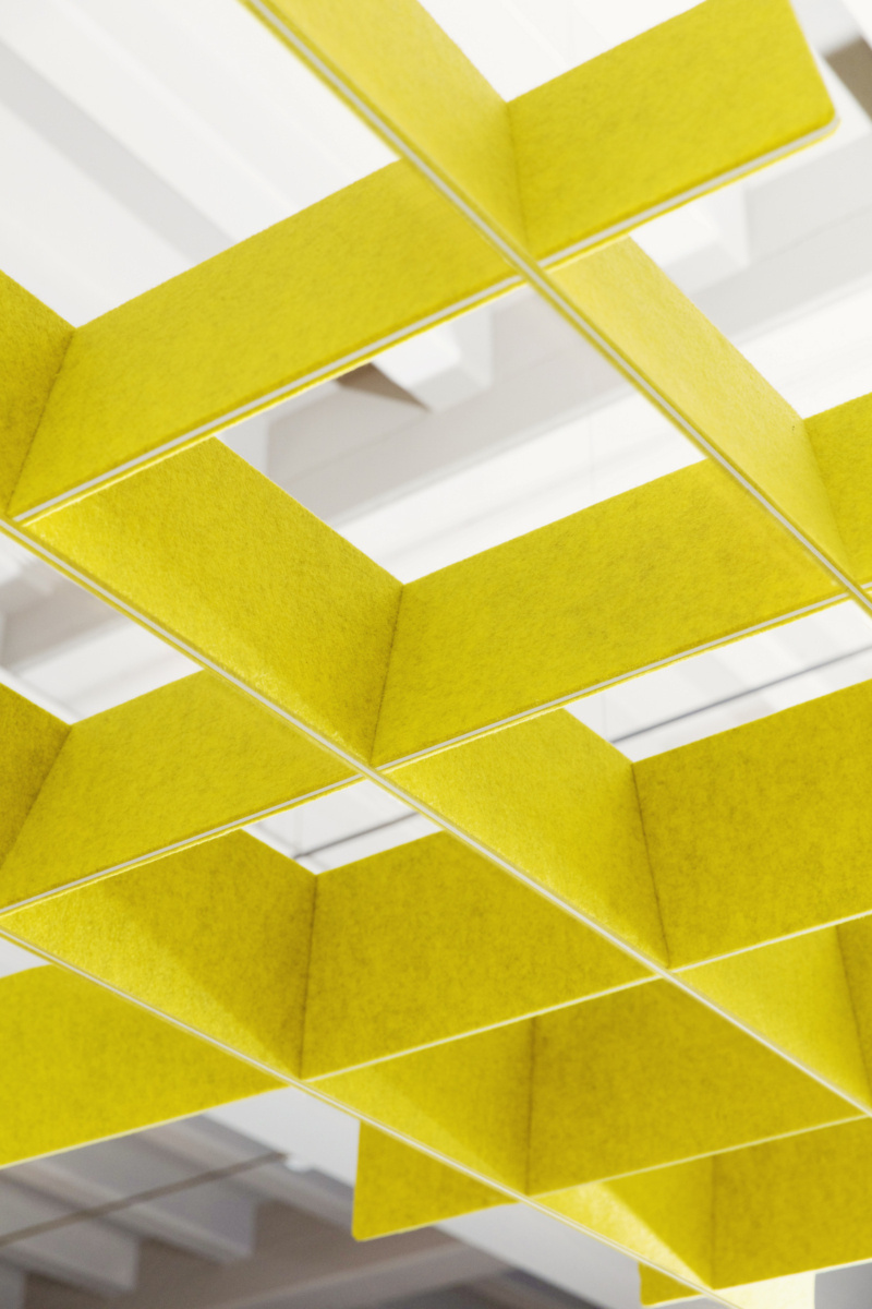 BuzziGrid - Education Snapshots