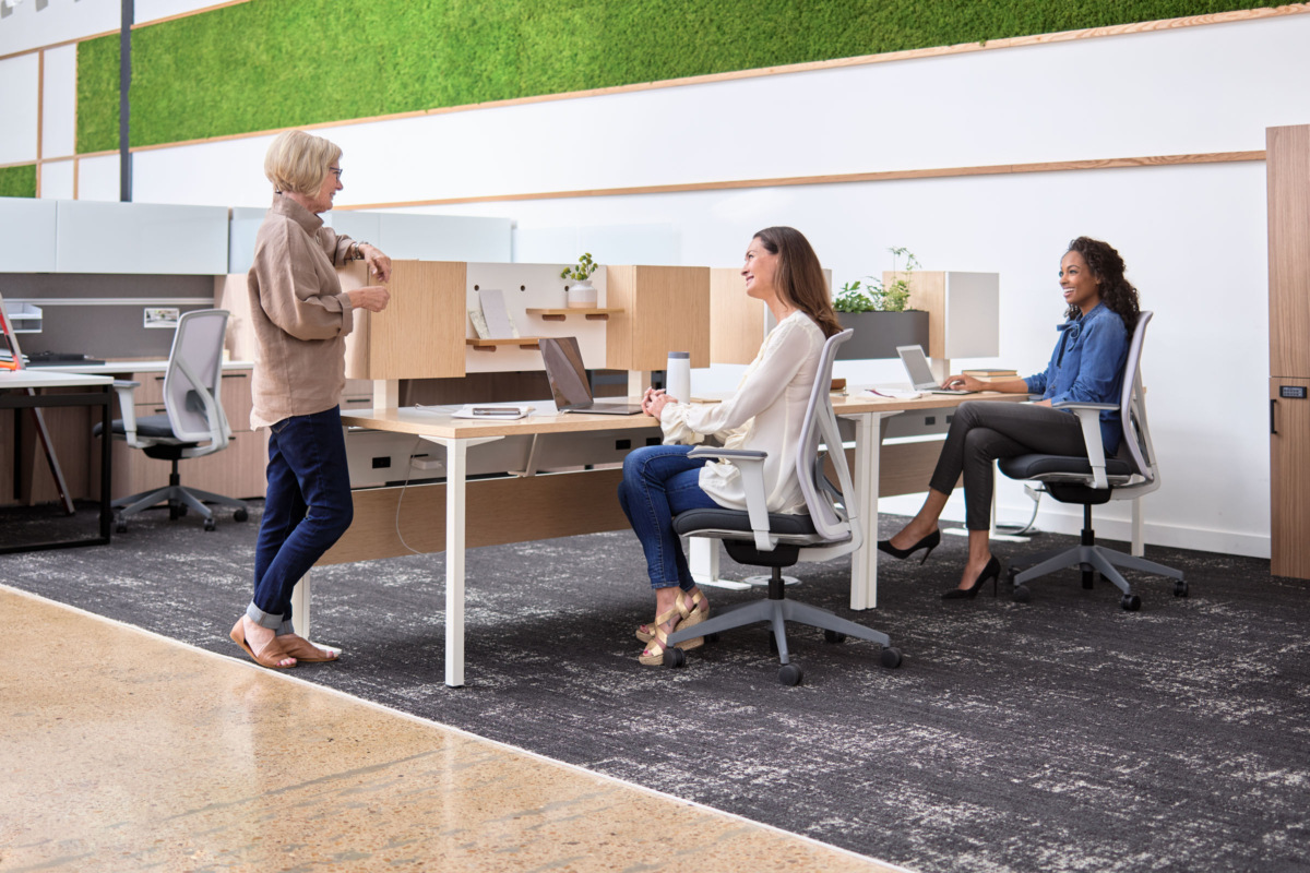 Agile - Education Snapshots