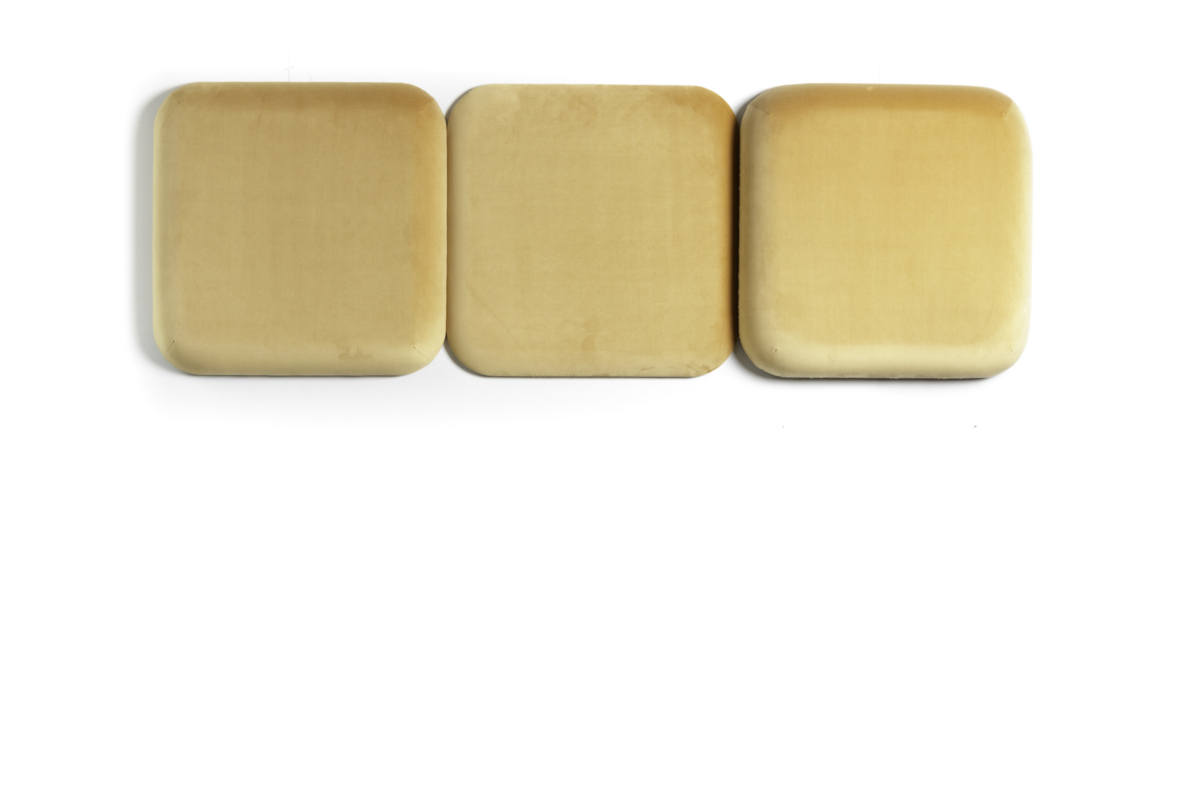 BuzziTabSoft - Education Snapshots