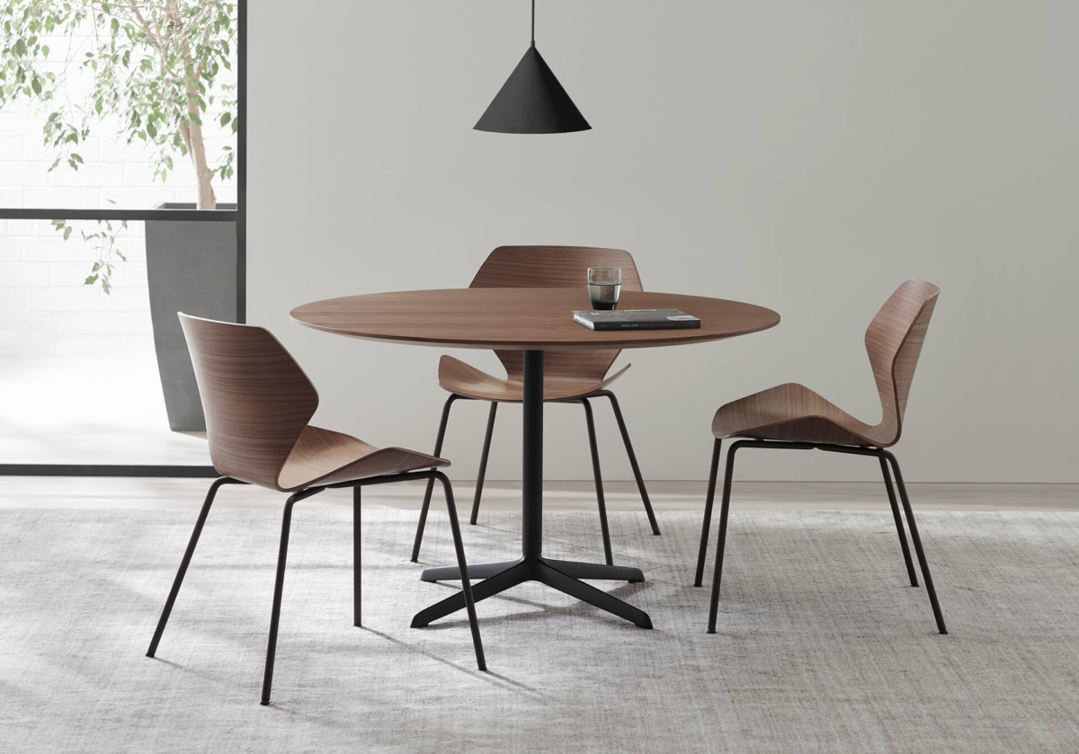 Luca - Education Snapshots