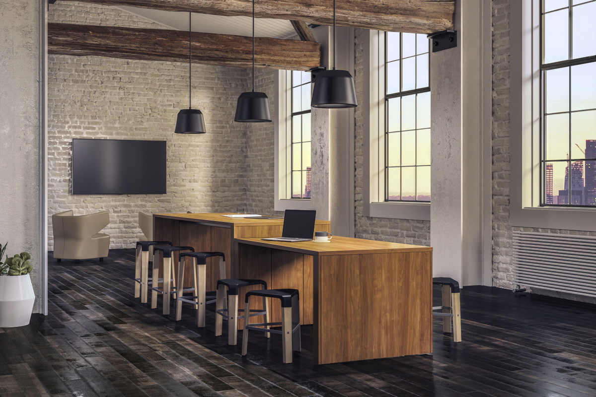 Rizora - Education Snapshots