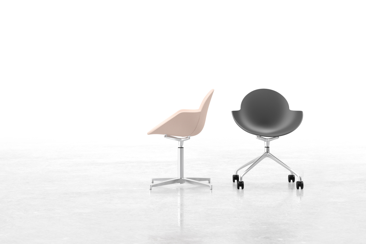 Volute - Education Snapshots