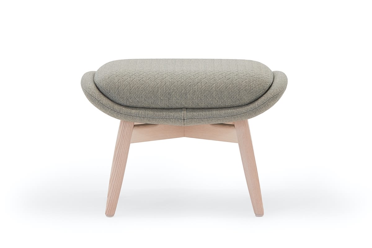 Ellaby - Education Snapshots