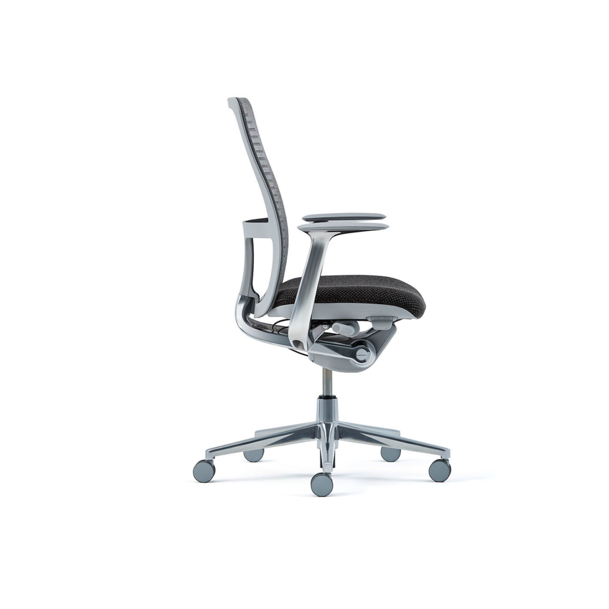 Zody II - Education Snapshots