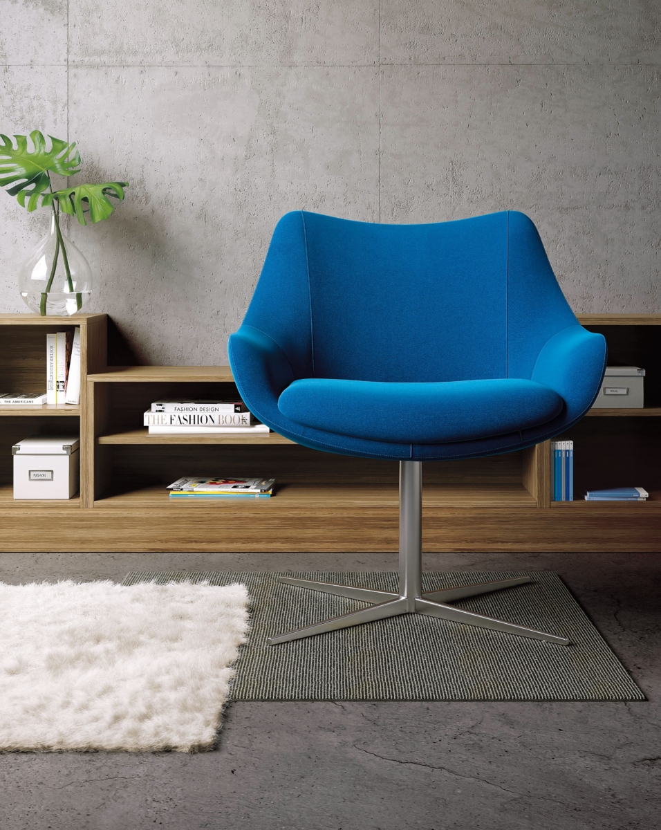 Bloom Lounge - Education Snapshots