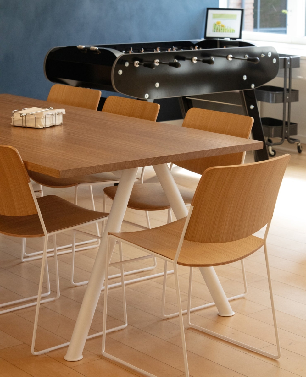 Link Chair - Education Snapshots