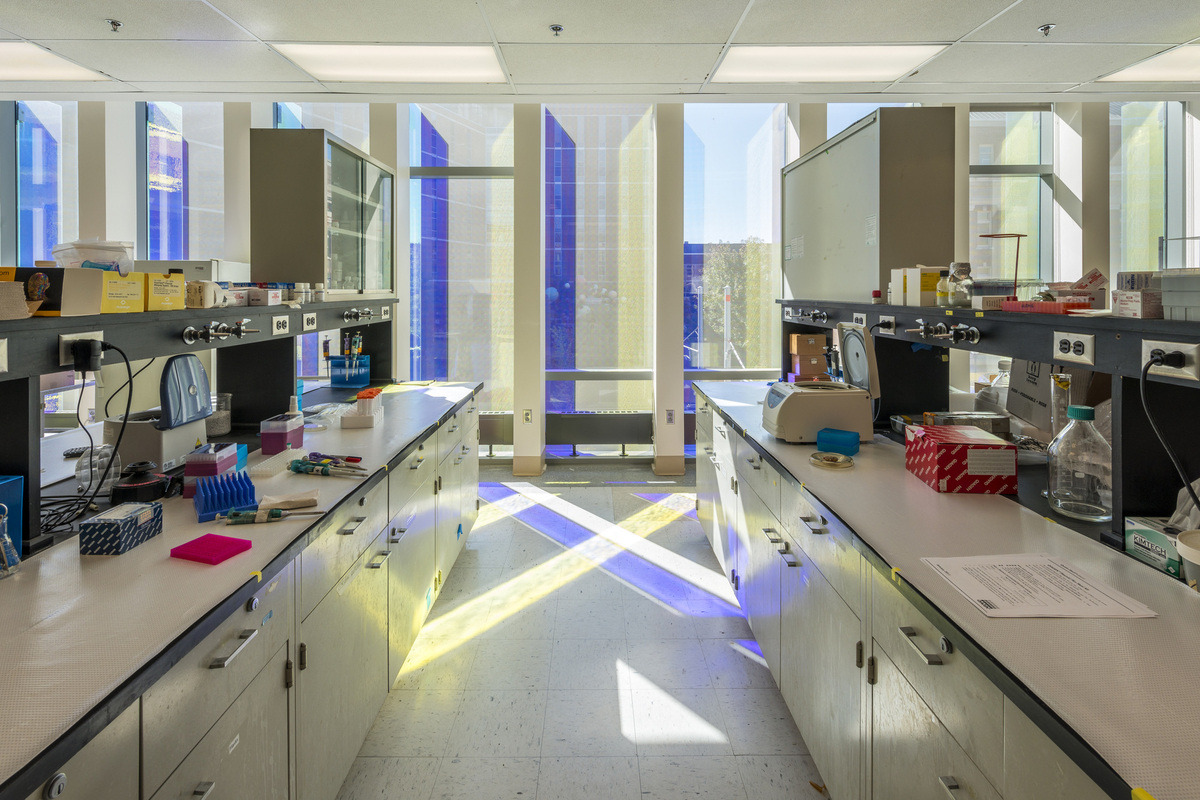 Amundson Hall at University of Minnesota - Education Snapshots