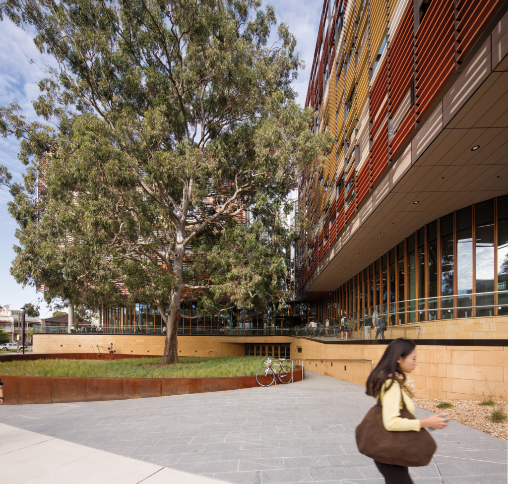 The University of Sydney Business School - Education Snapshots