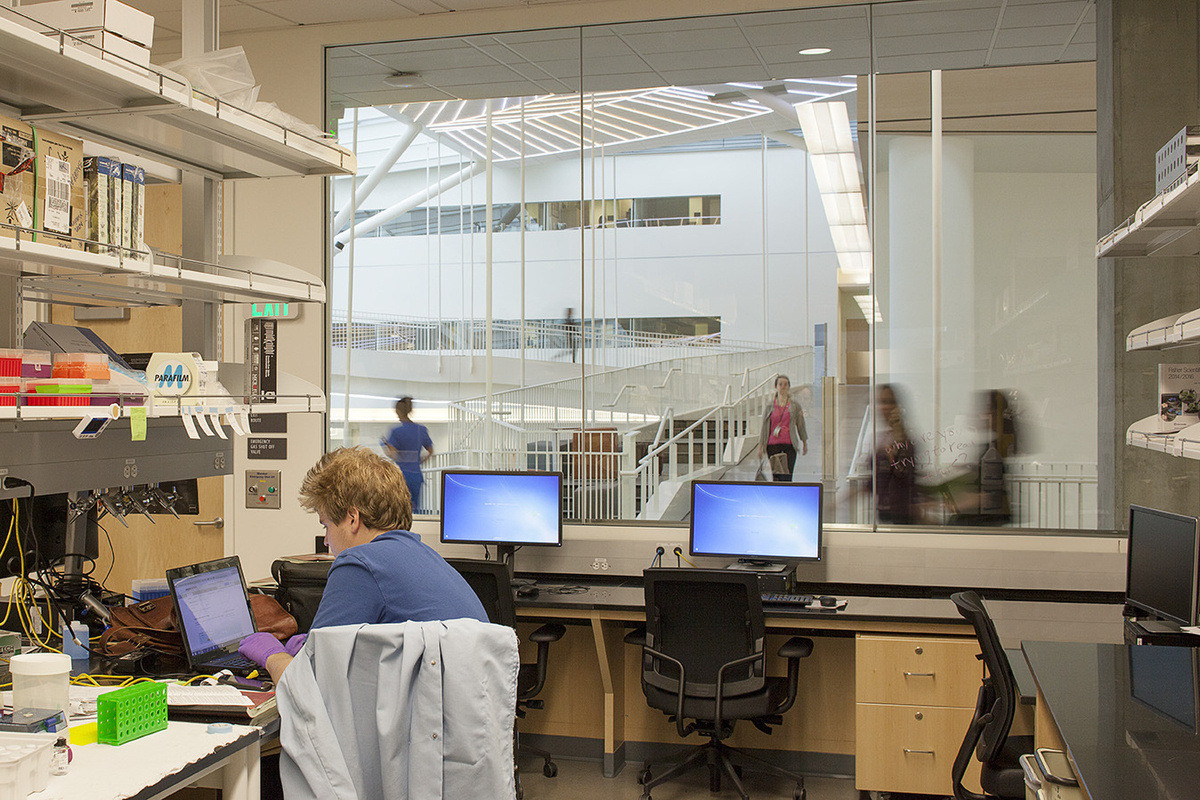 Collaborative Life Sciences Building - Education Snapshots