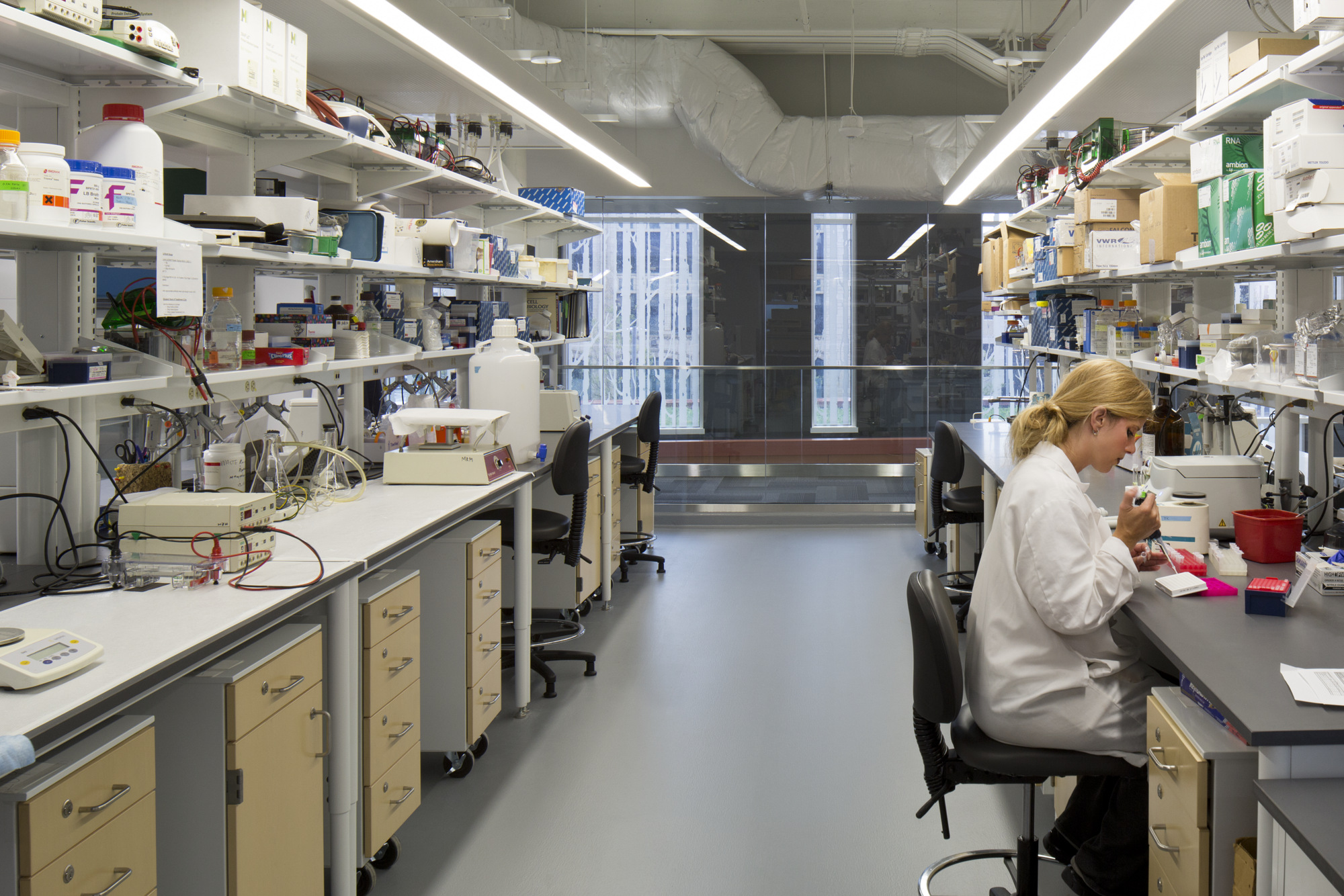 Wayne State University - Integrative Bioscience Center - Education ...