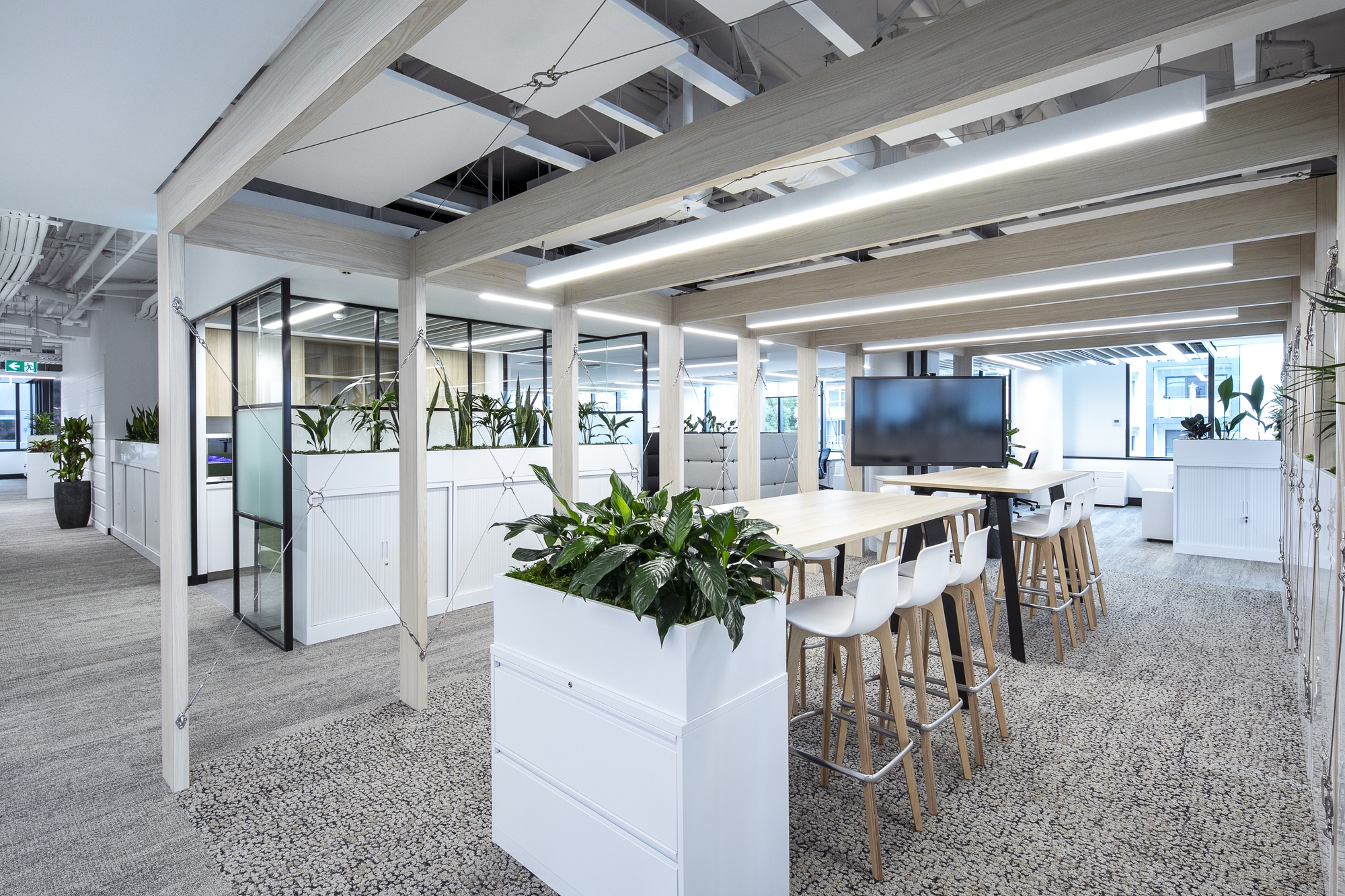 Burwood Council Community Hub, Library and Workplace - Education Snapshots