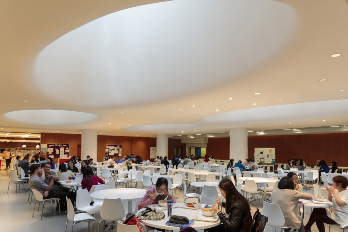 NYU Shanghai - Education Snapshots