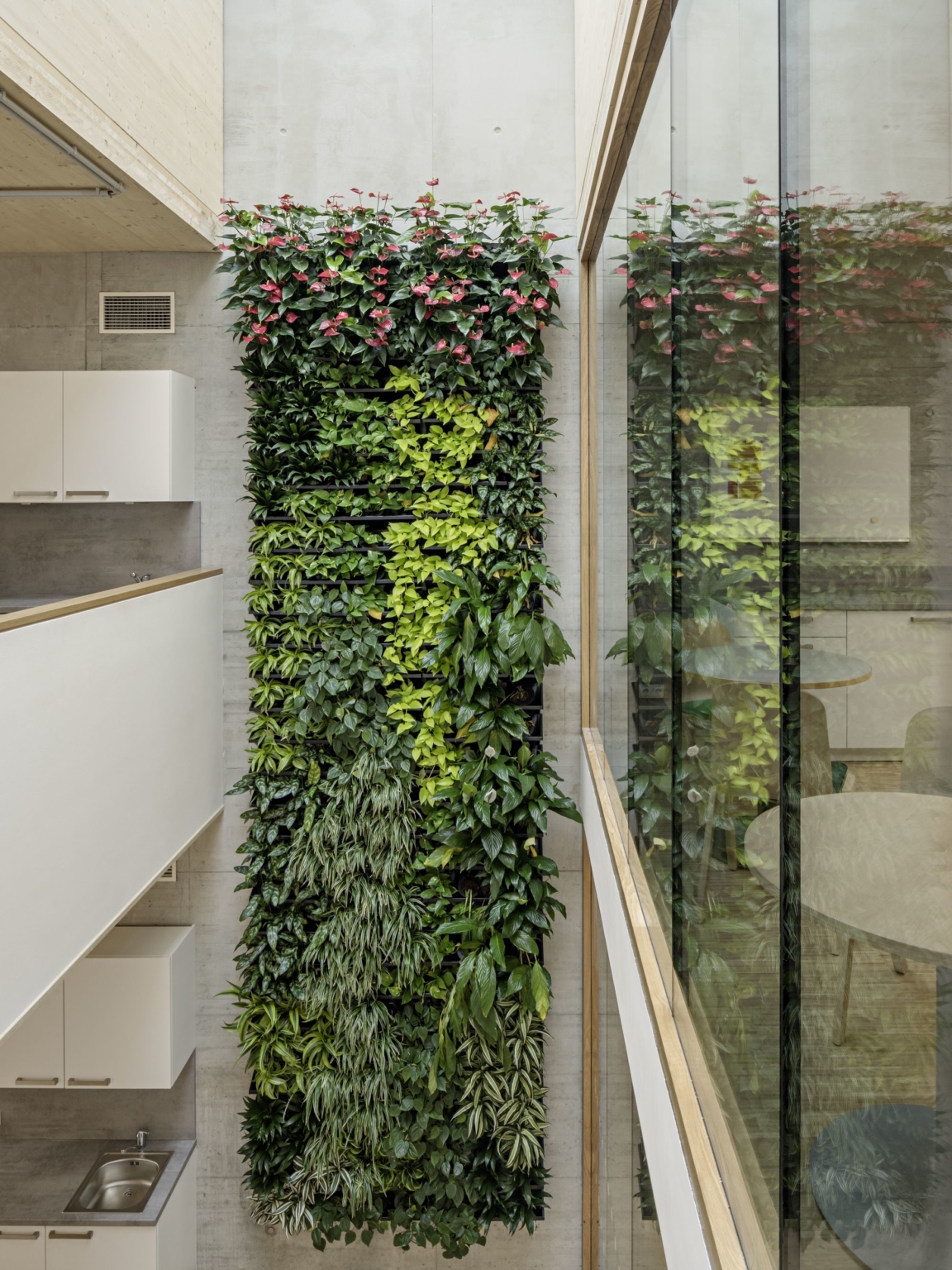 Library and Seminar Centre BOKU Vienna - Education Snapshots