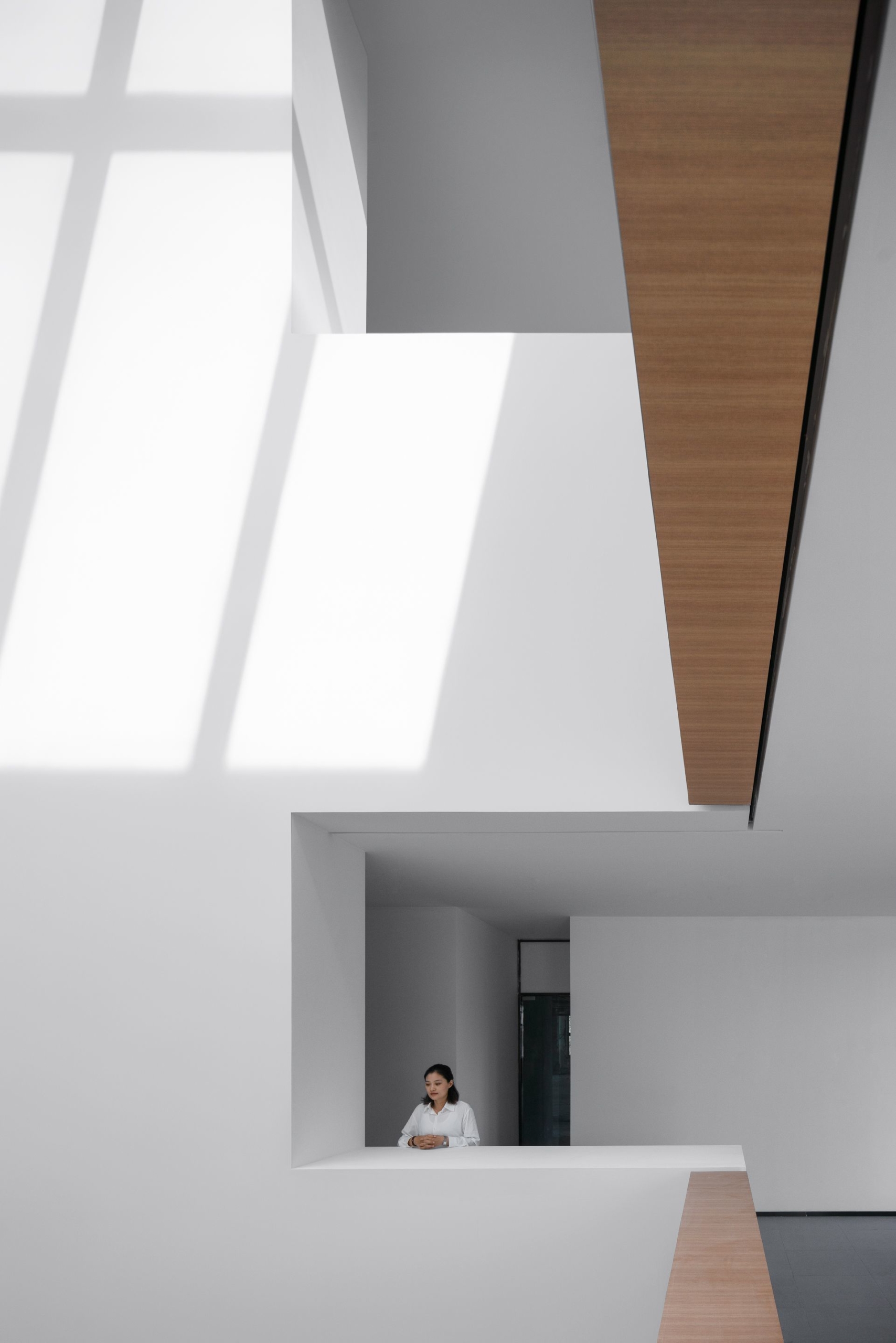 Nanjing Normal University - Library of Zijin Campus - Education Snapshots