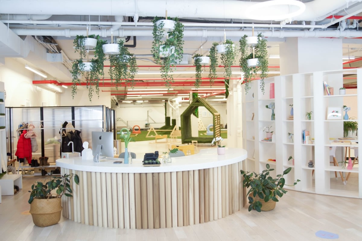 Cocoon - Education Snapshots