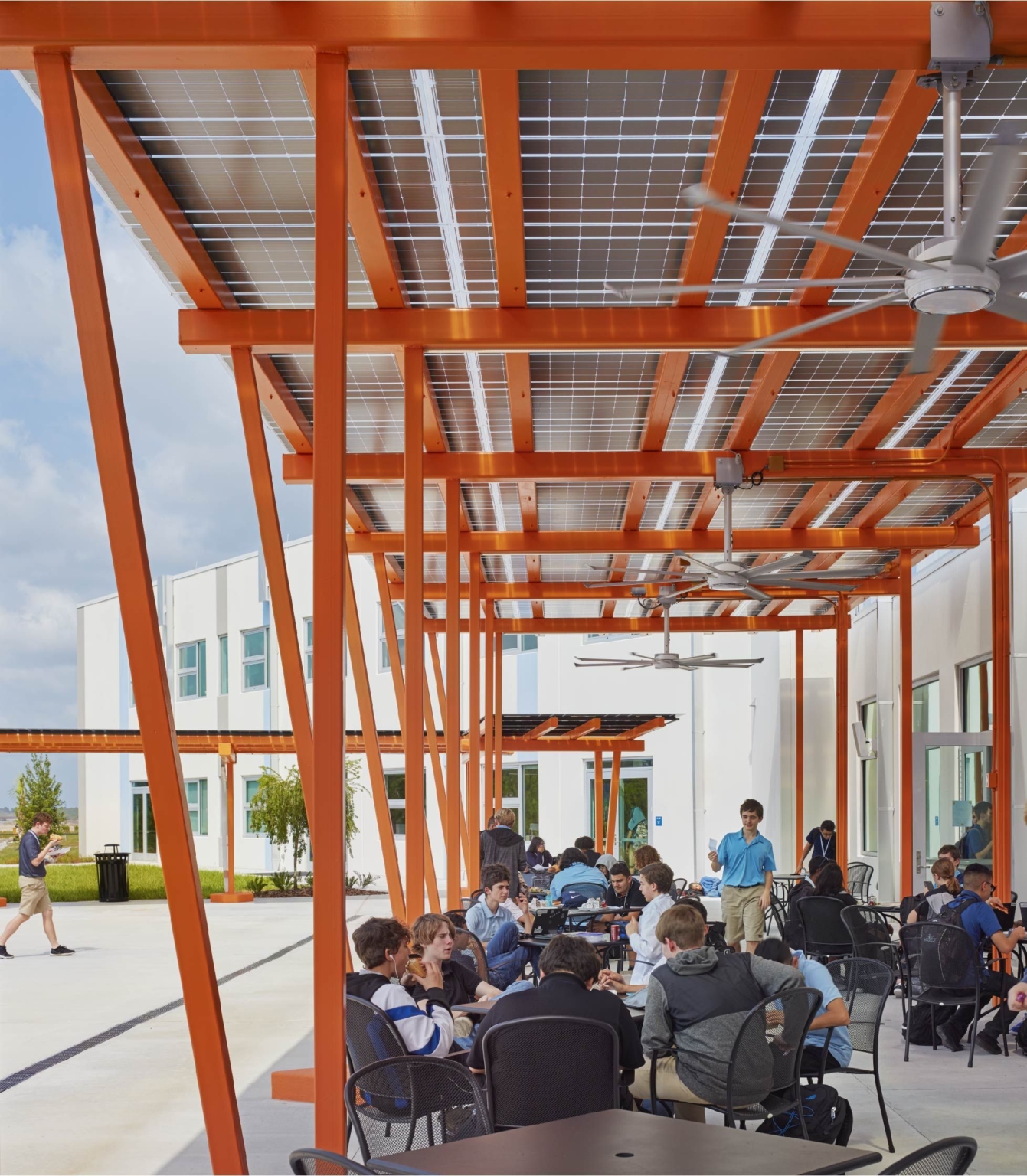 NeoCity Academy - Education Snapshots