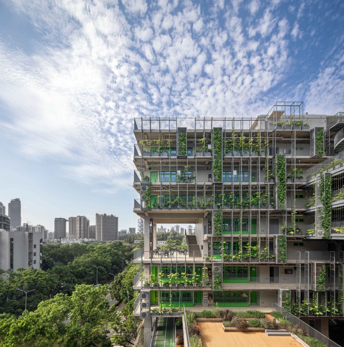 Shenzhen College of International Education - Education Snapshots