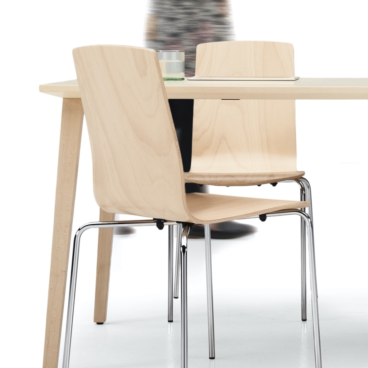 Sas - Education Snapshots