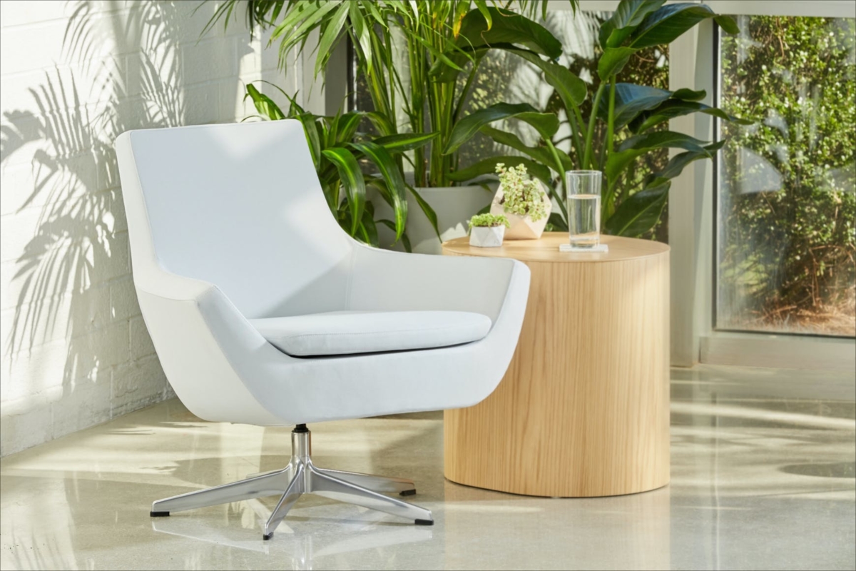 Happy Lounge - Education Snapshots