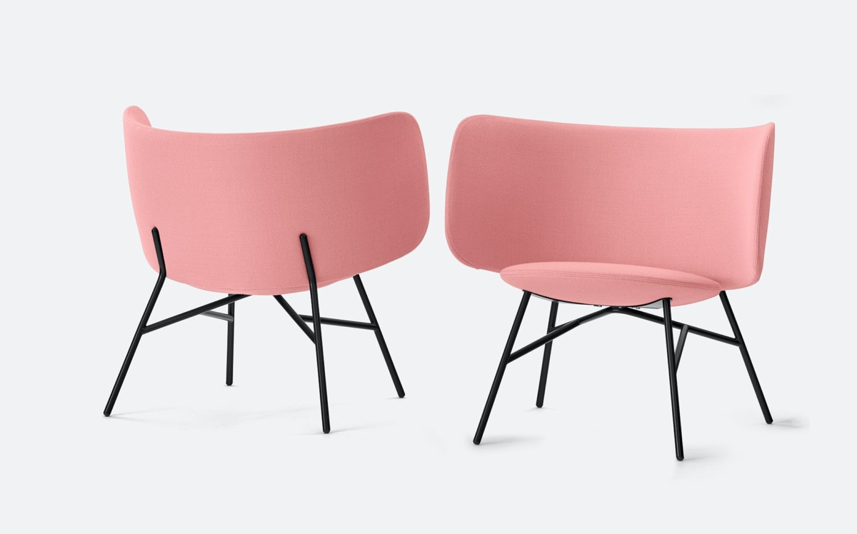 Stella - Education Snapshots