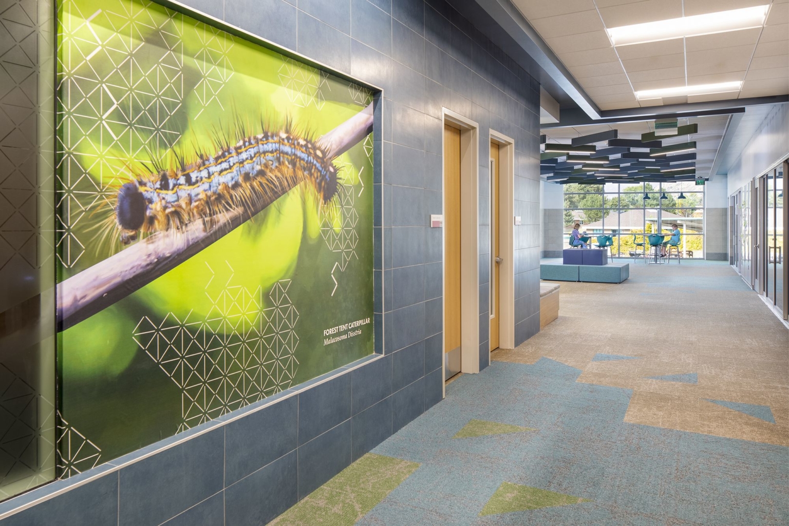 East Ridge Elementary School - Education Snapshots