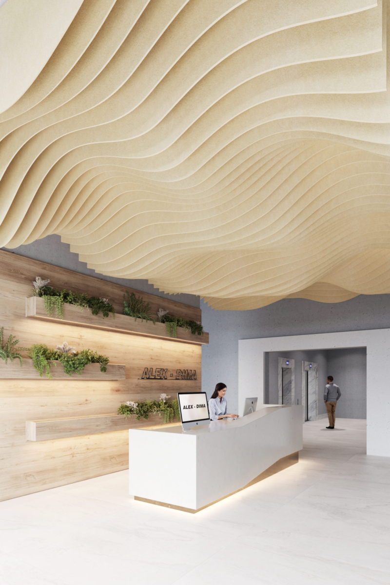 BAFL SKINNY - Education Snapshots