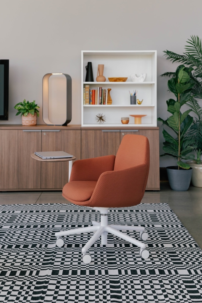 Poppy Guest - Education Snapshots