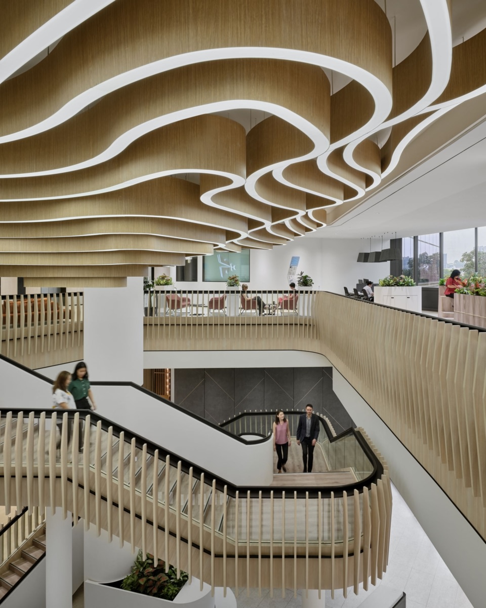 Catapult @ Rochester Commons - Education Snapshots