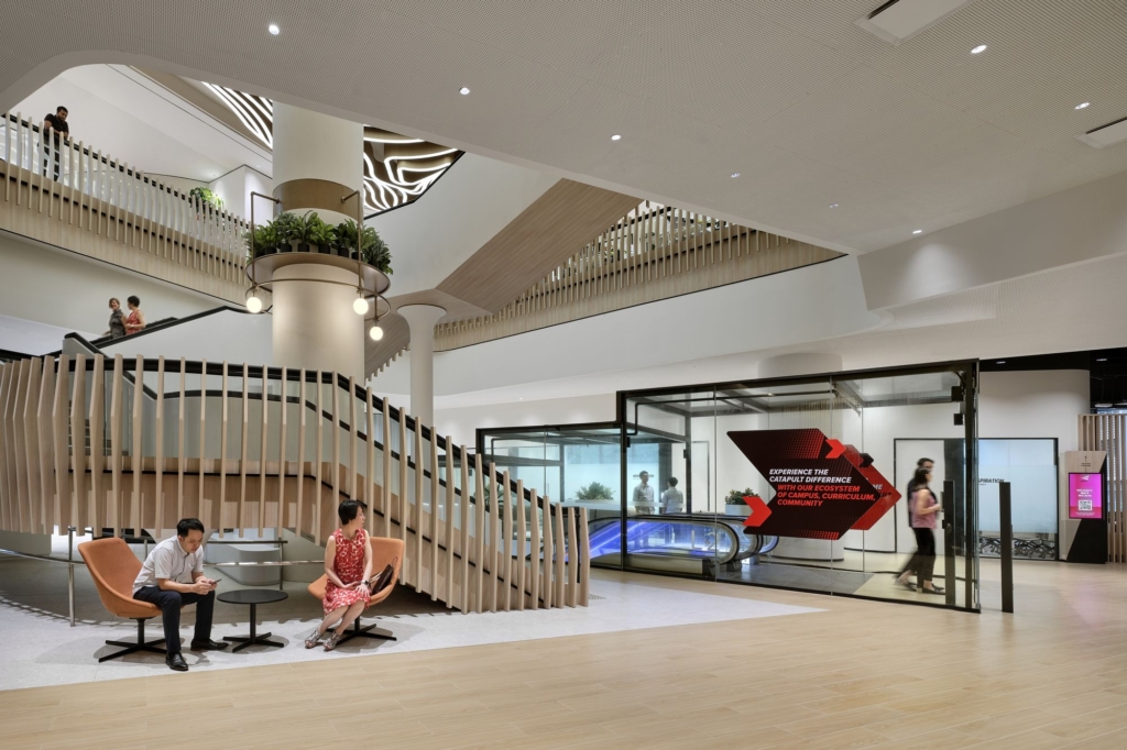 Catapult @ Rochester Commons - Education Snapshots