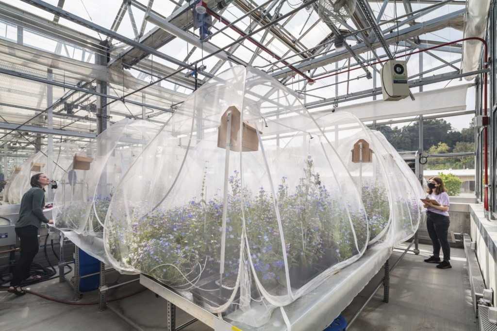 University of California, Riverside - College of Natural and ...