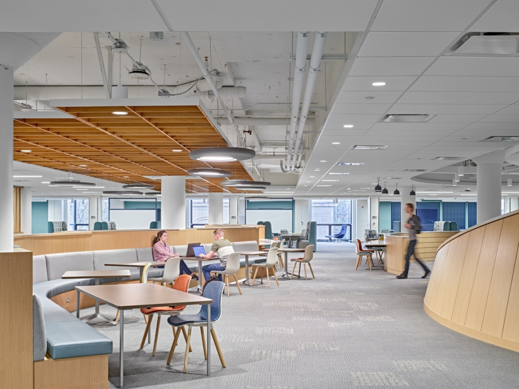 University of Michigan - Shapiro Library Study and Renovation ...
