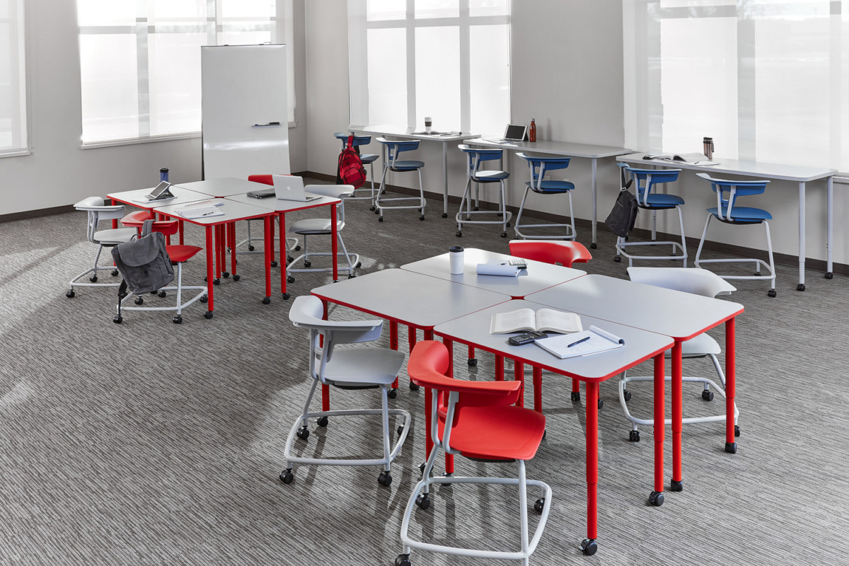 Ruckus Collection - Education Snapshots