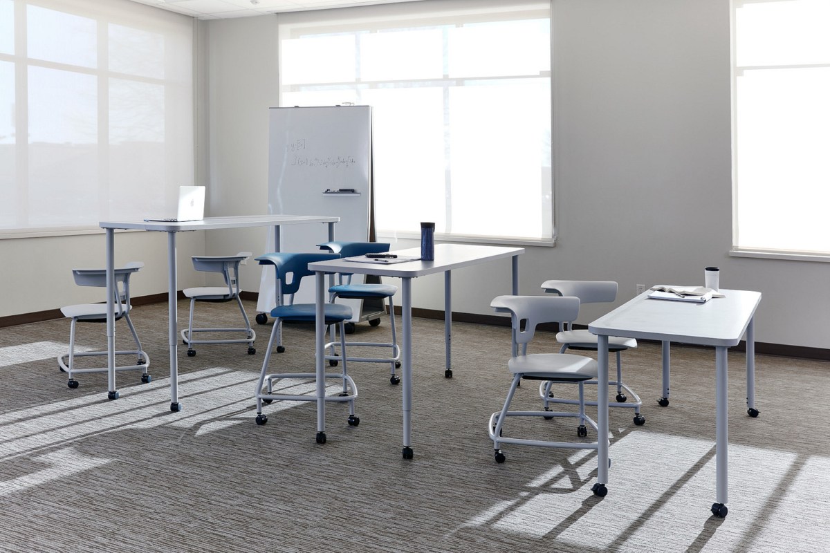 Ruckus Collection - Education Snapshots