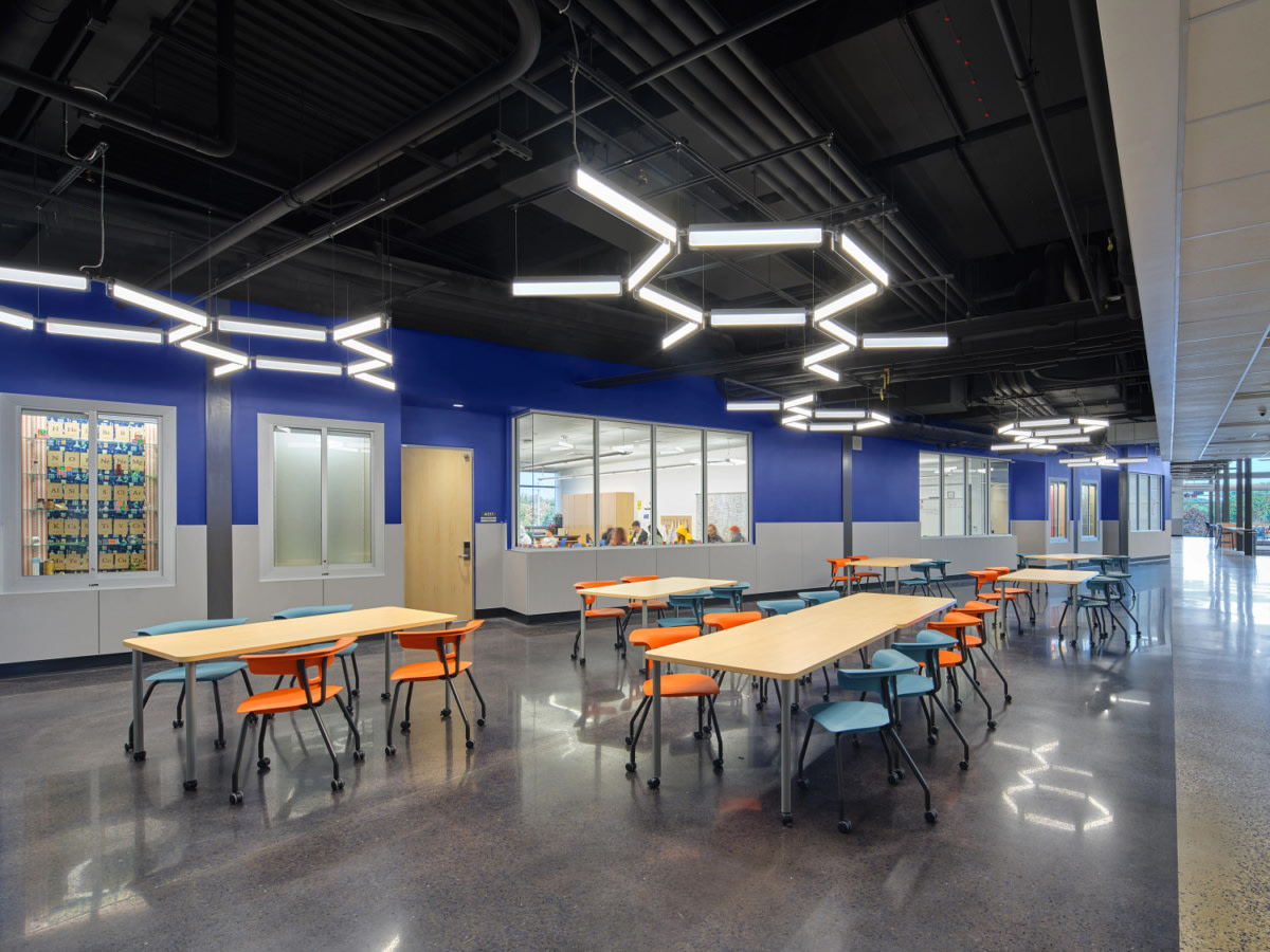 Ruckus Collection - Education Snapshots