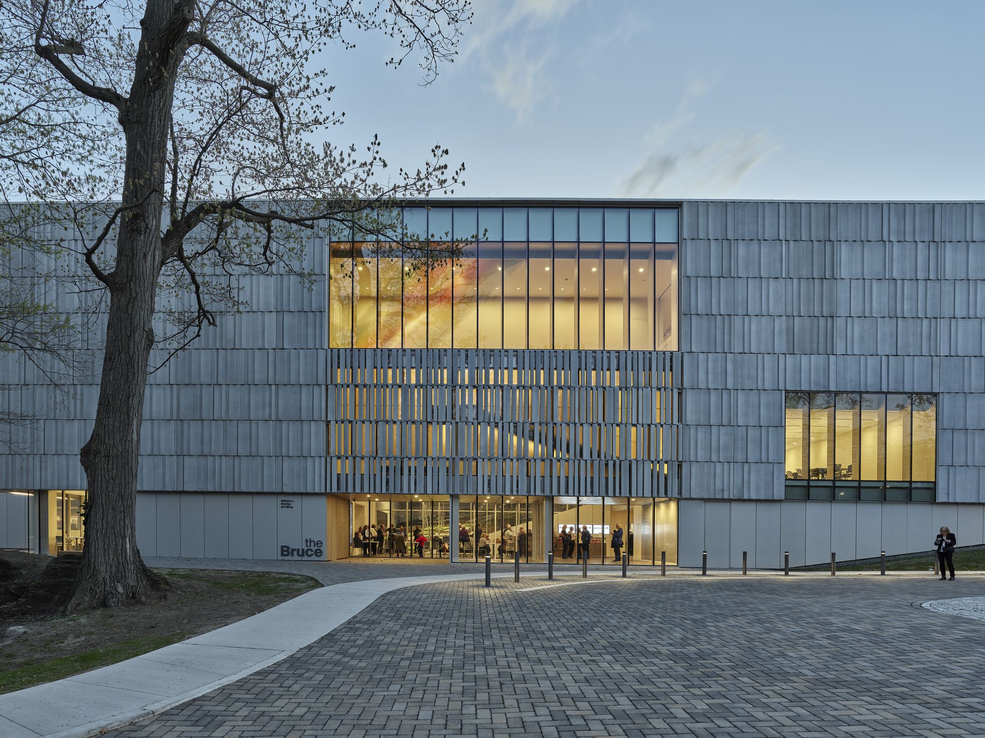 Bruce Museum - Education Snapshots