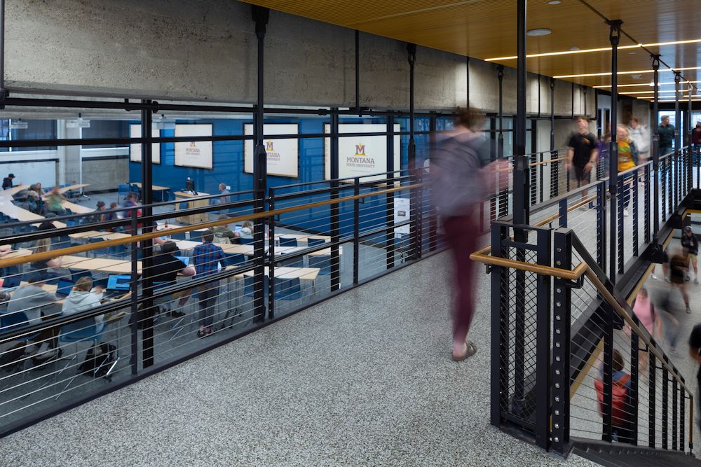 Montana State University - Romney Hall - Education Snapshots