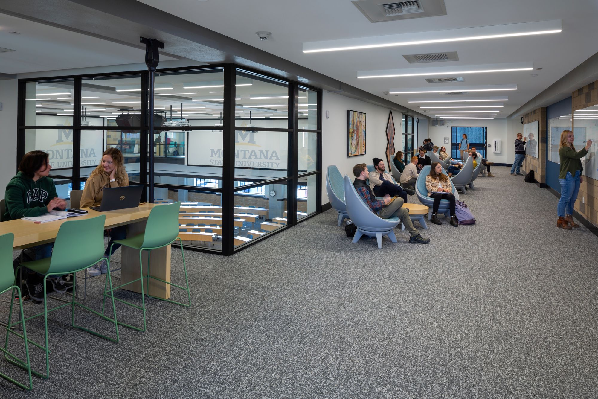 Montana State University - Romney Hall - Education Snapshots