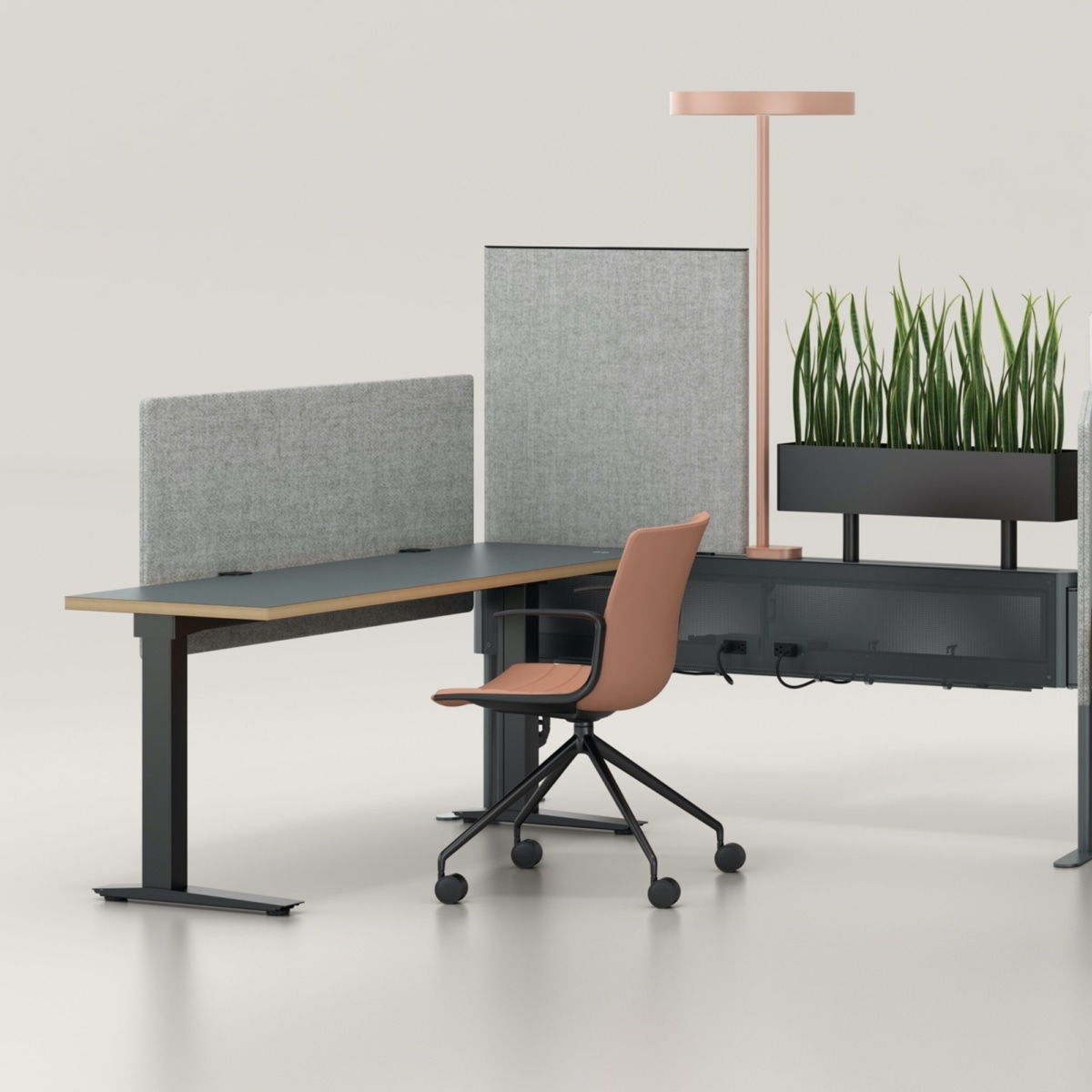 Essential Desk - Education Snapshots