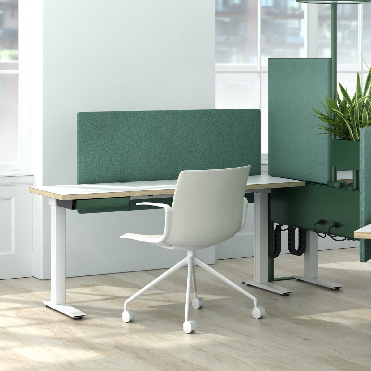 Essential Desk - Education Snapshots