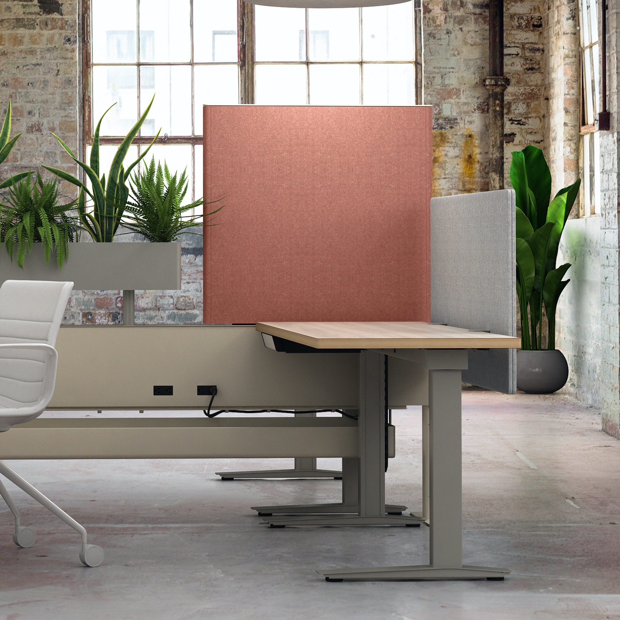 Essential Desk - Education Snapshots