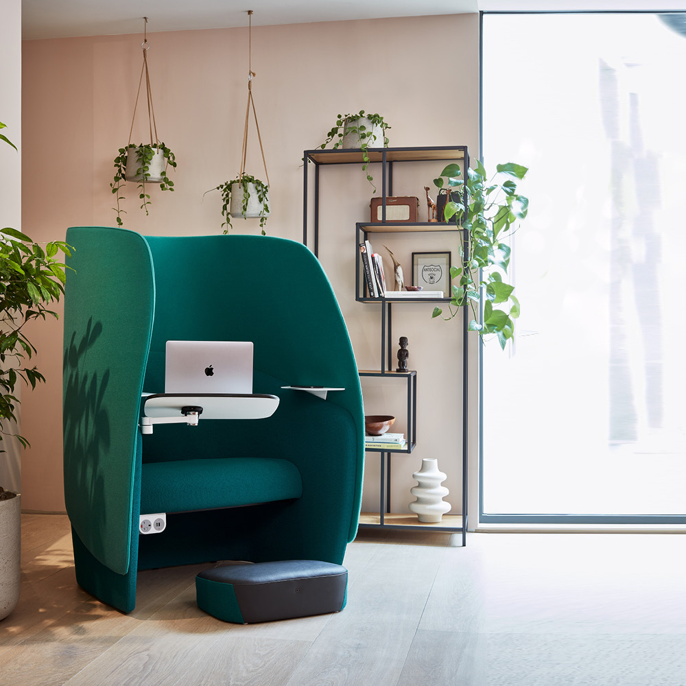 Mango - Education Snapshots