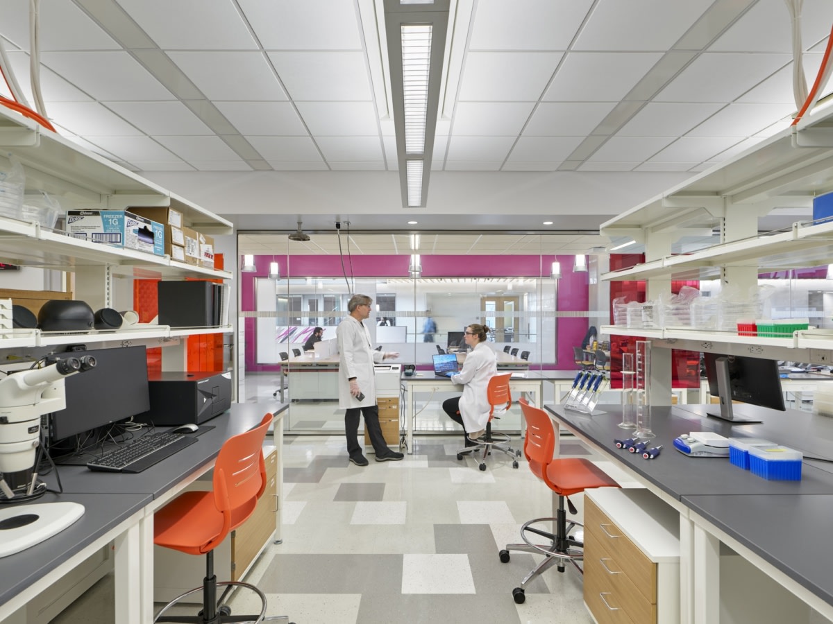 University of Maryland Baltimore County - Interdisciplinary Life ...