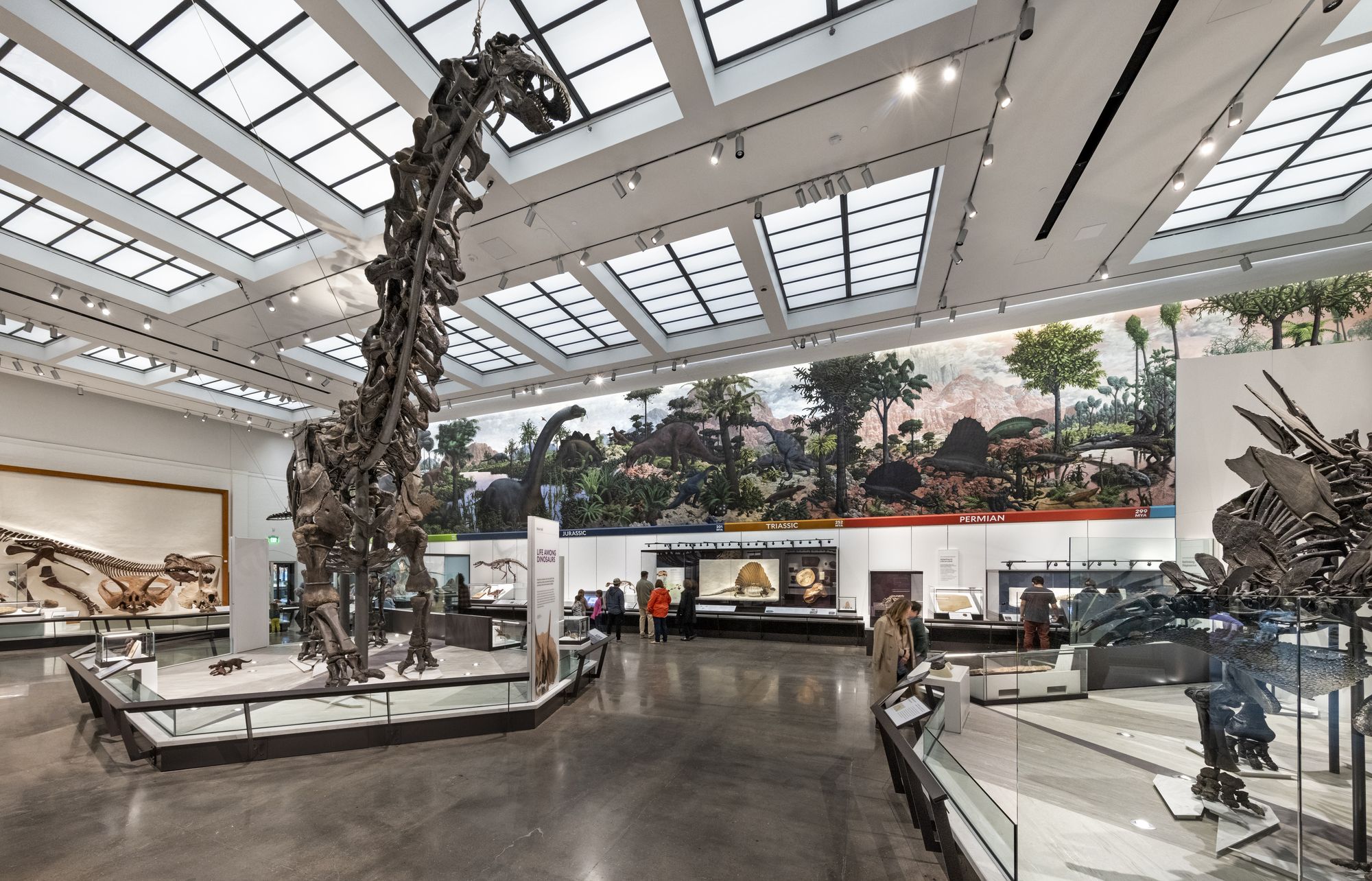 Yale Peabody Museum - Education Snapshots